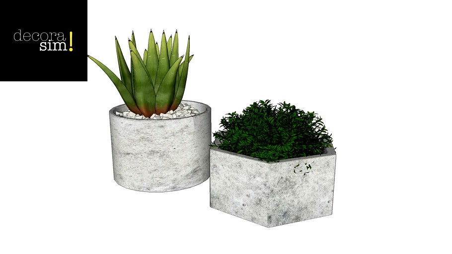 Planta tanaman pot 13 3d model