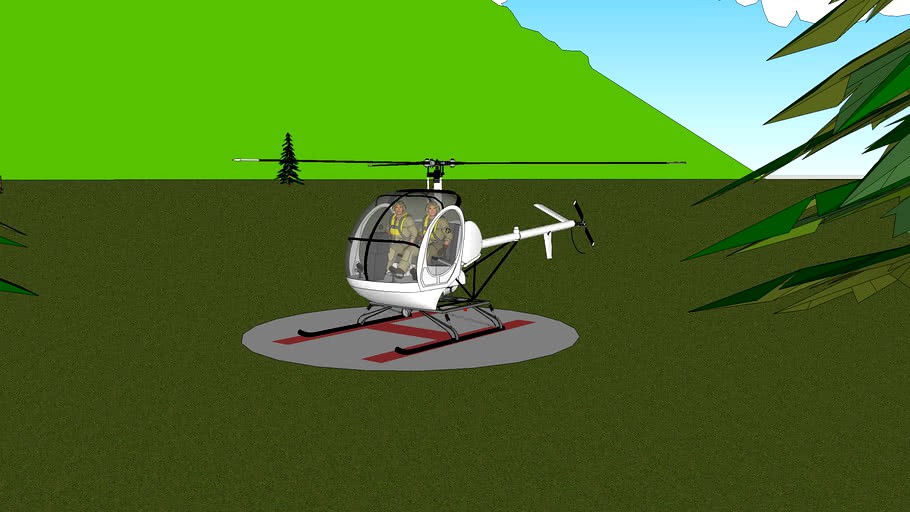 Sketchup-Msphysics-Hughes Schweizer 300 Charlie 3d model
