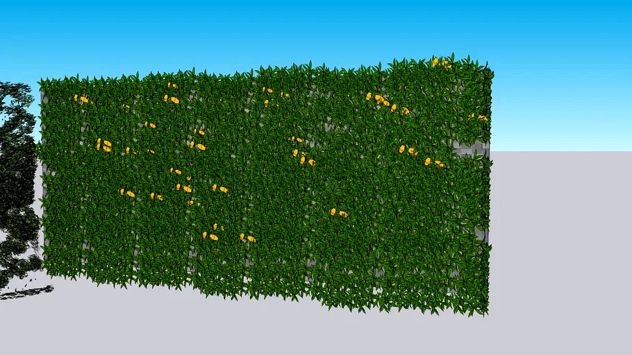 Tanaman Rambat 3d model