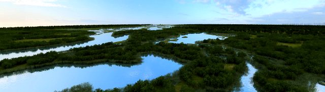 wetlands 3d model