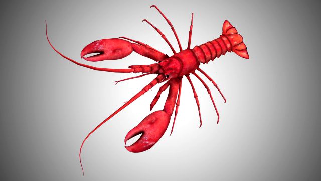 realistic rigged low poly lobster 3d model