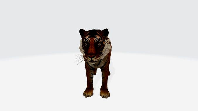 Tiger 3d model