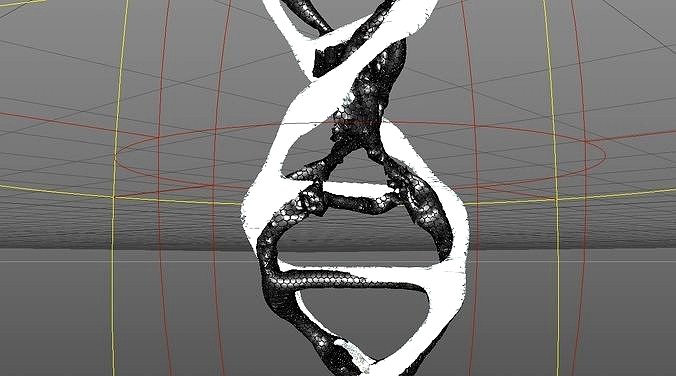 dna 3d model