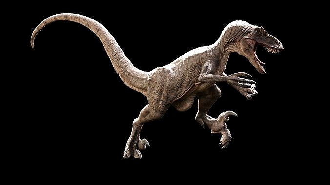 Raptor Dinosaur 3d Model Realistic And Rigged
