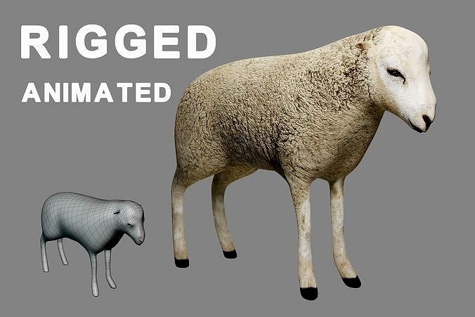 Sheep Rigged 3D model