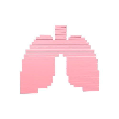 Pixel Line Lung Symbol v1 001 3d model