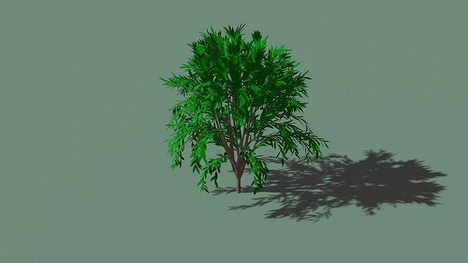 tree 3d model