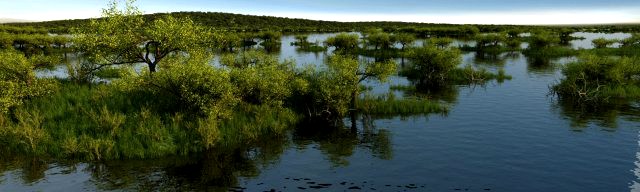 wetlands 3d model