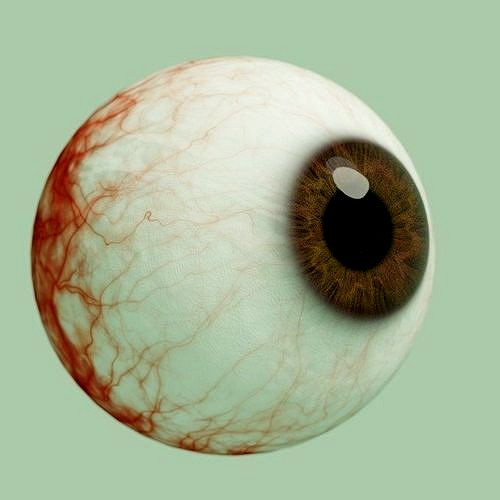 Realistic Eye Model Blender 3d