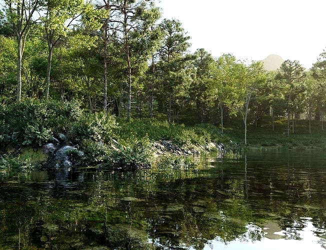 Beaver Lake Pack 3D Models - 3ds Max - Vray - Corona