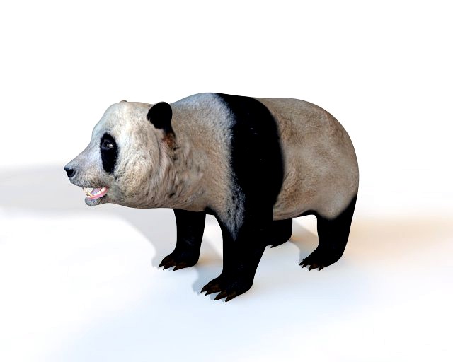 panda rigged 3d model