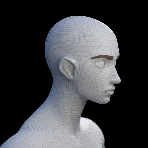 Stylized Female Base Mesh 3d model