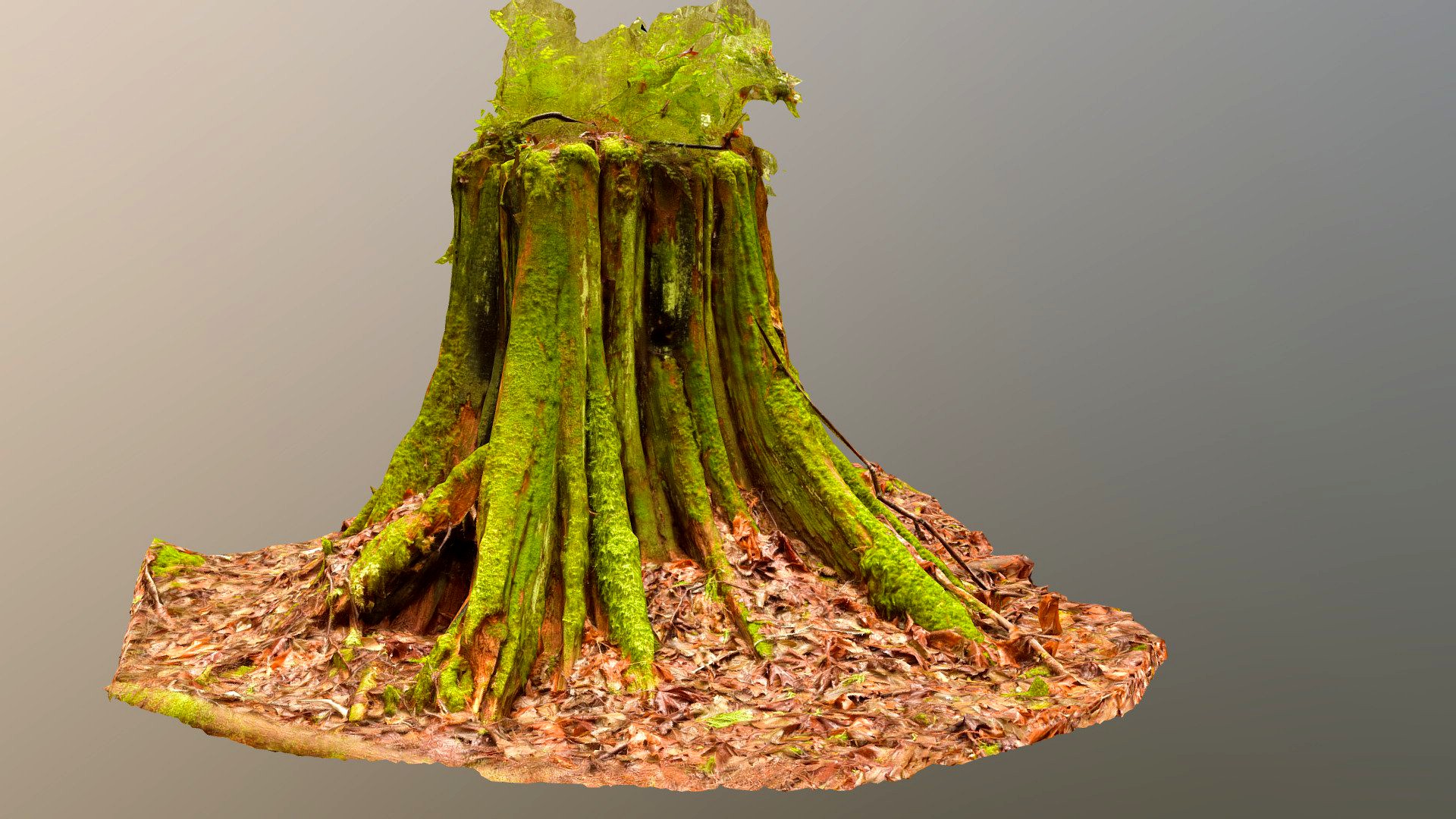 Mossy Stump Low Poly 3d model