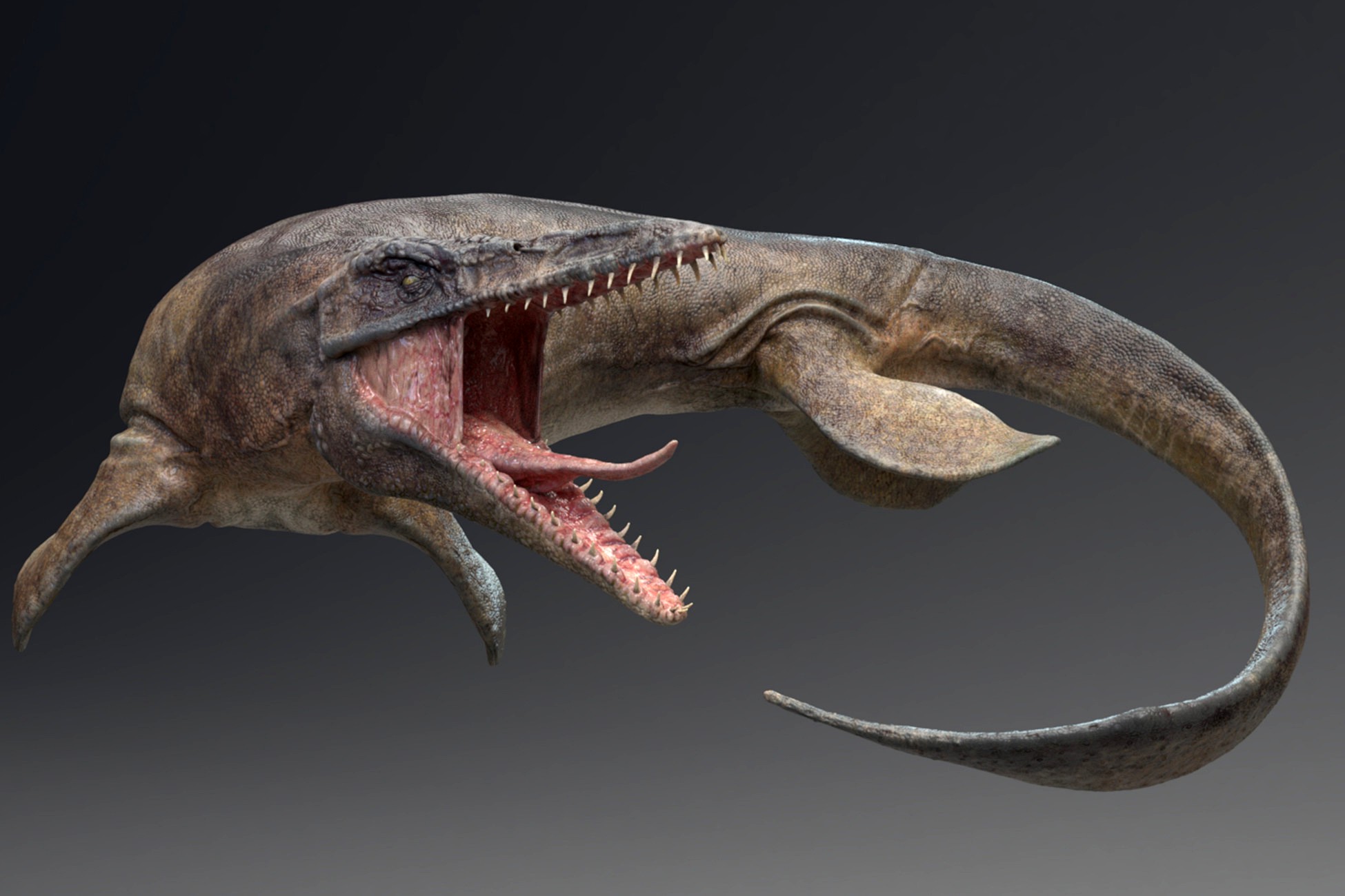 Tylosaurus - Sea Monster Series 3 3d model