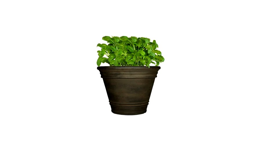 CHROMA - 2D faceme planter 3d model