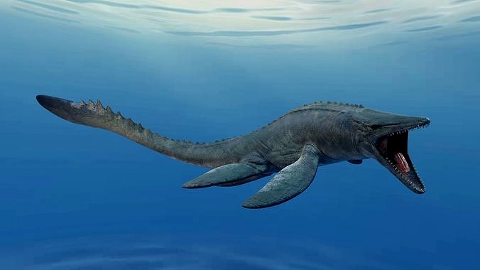 Mosasaurus Animated 3d model