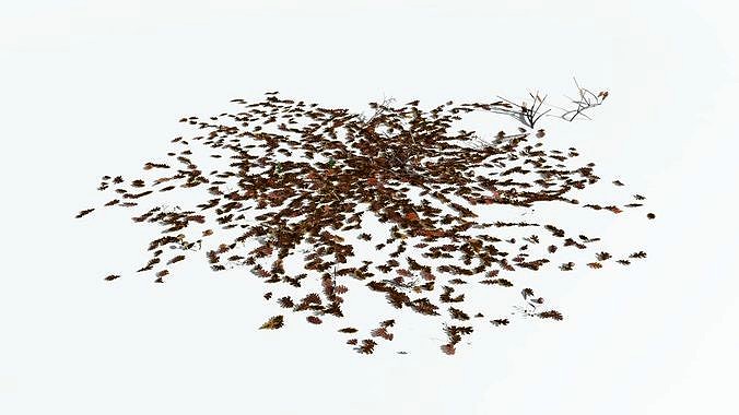 EVERYPlant European Oak Forest Ground Cover 04 --21 Models-- 3d