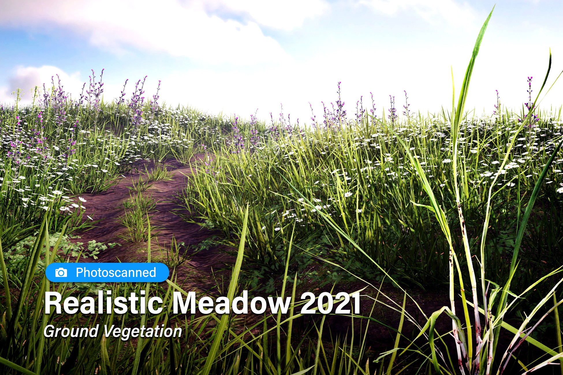 Realistic Meadow 2021 ・ Ground Vegetation 3d model