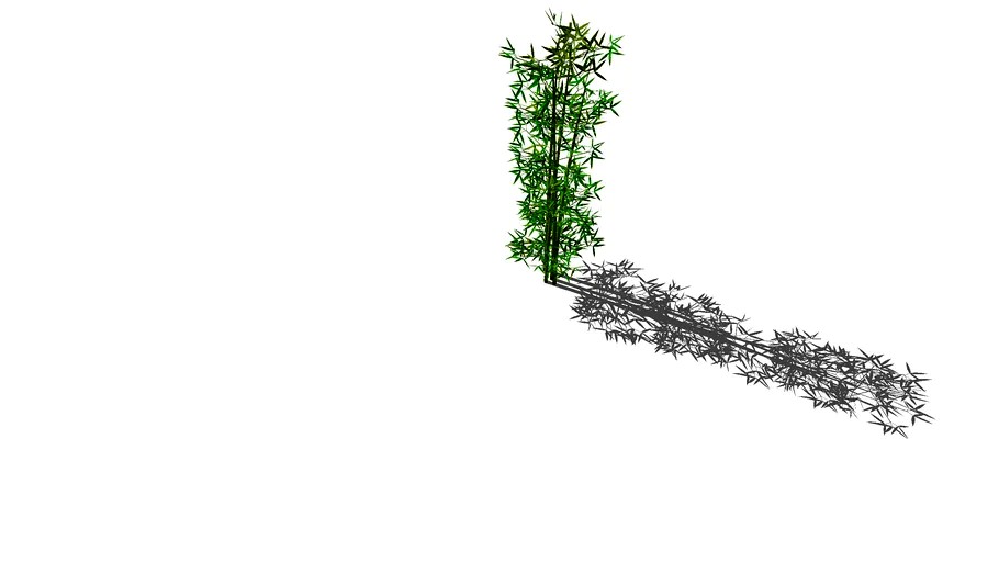Bamboo Rescale 3d Model 9247