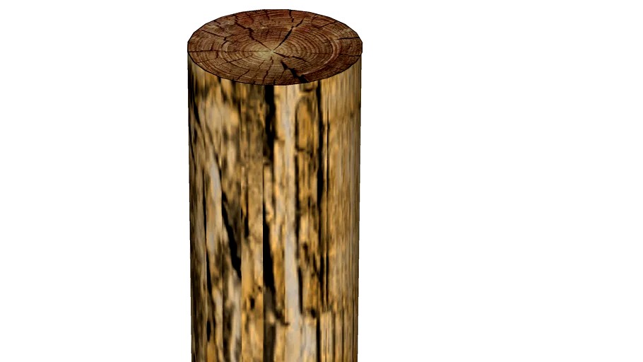 Timber Pile - 20 foot 3d model