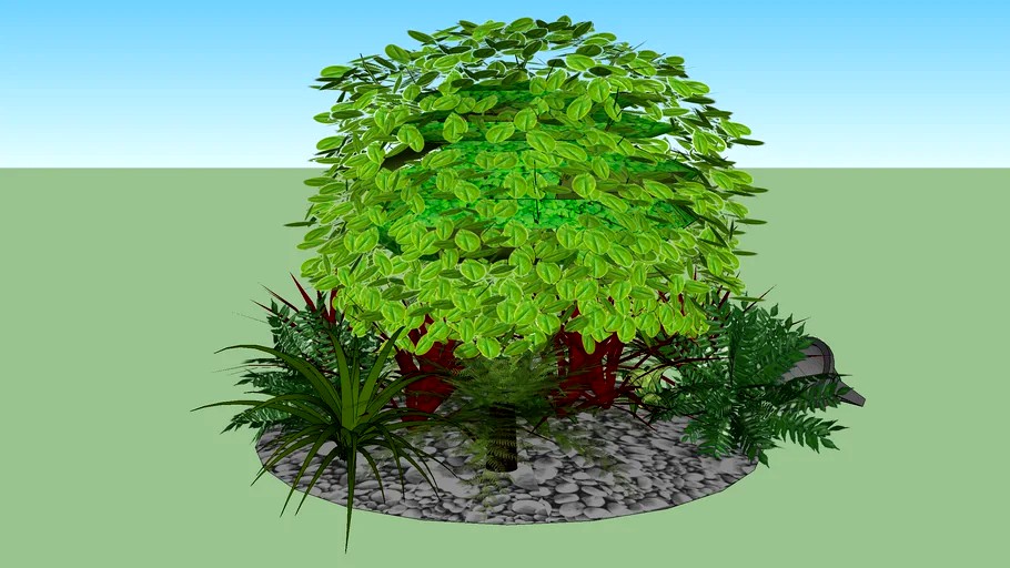 Arbusto X 3d model