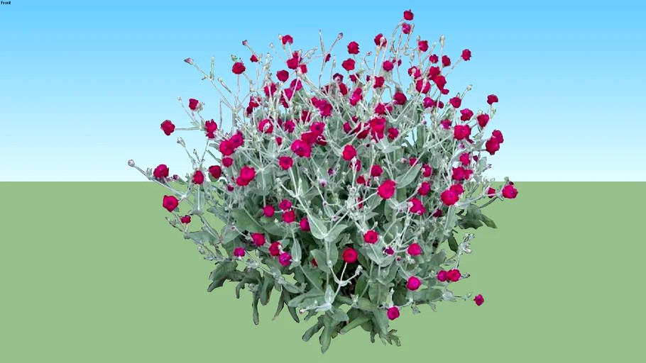 Arbusto V (PNG) 3d model