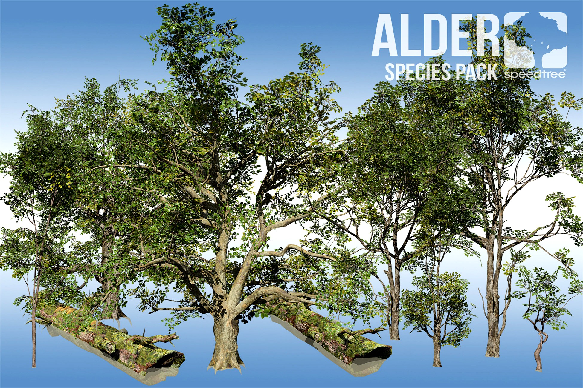 Alder Species Pack (v8) 3d model