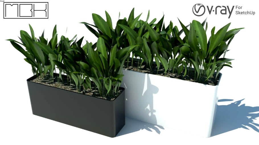 POTS PLANT (25).skp 3d model