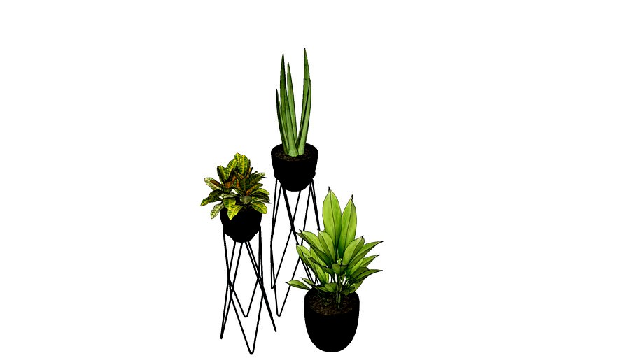 POTS PLANT (11).skp 3d model