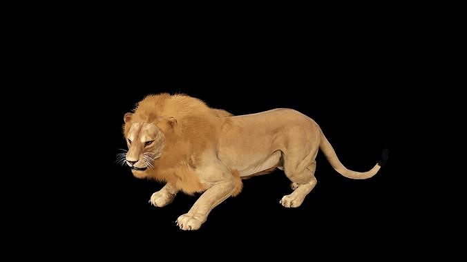 The Lion King - Game Ready 3d model