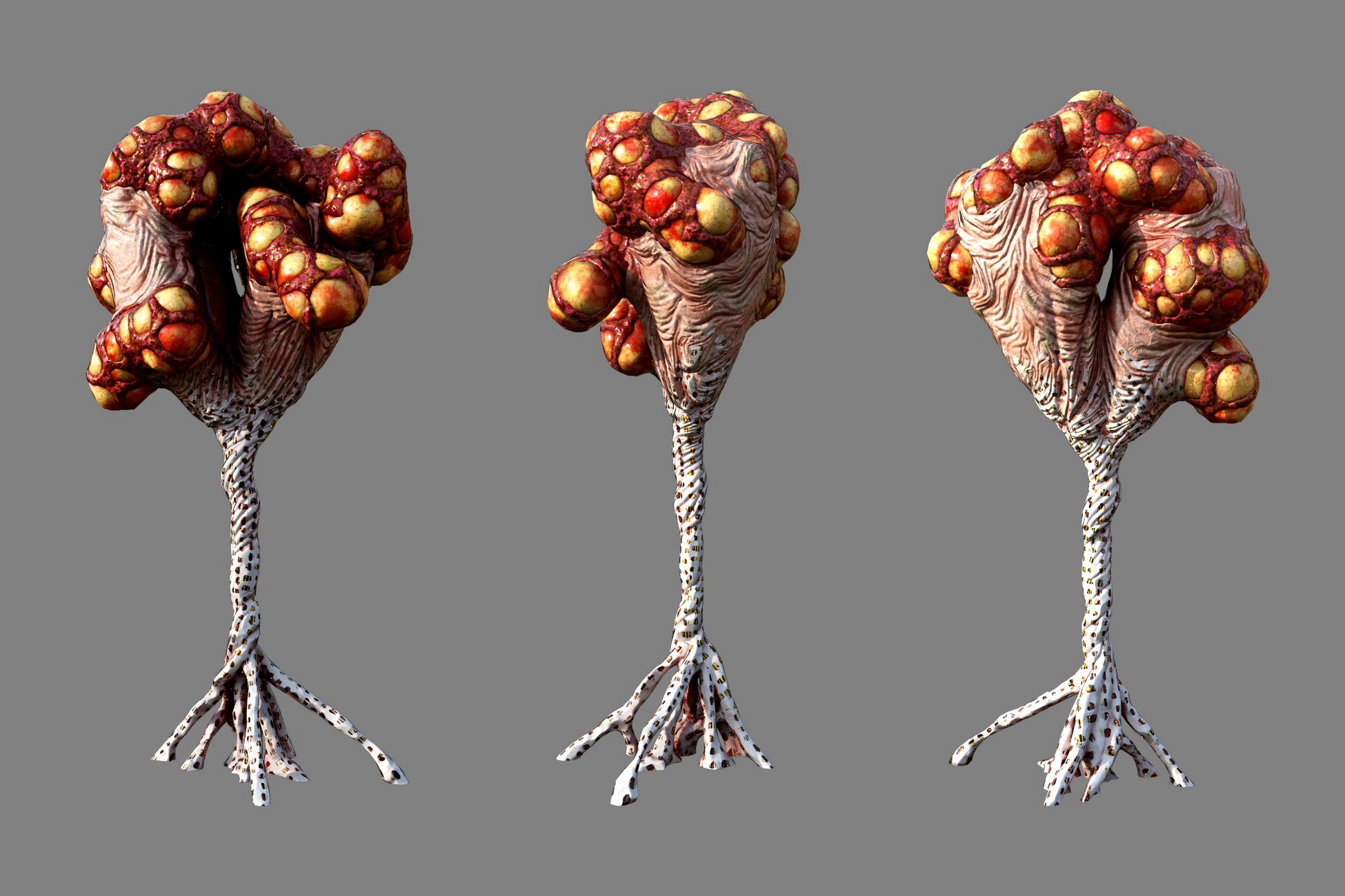 Virus Incubation Organ 3d model