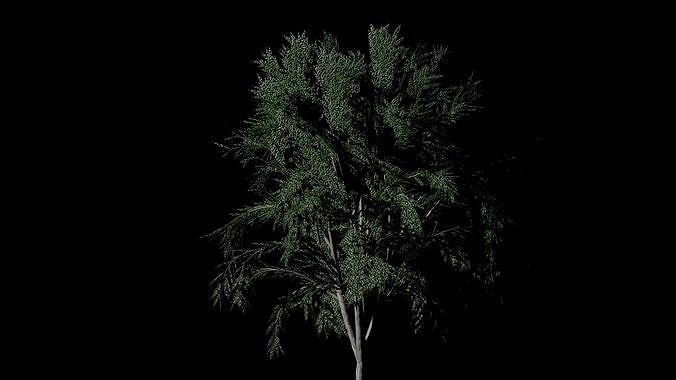 Tree 3d model