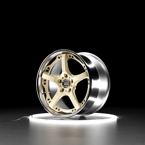 RAYS VOLK RACING GTS Car wheel 3d model
