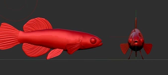 fish 3d model | 3D