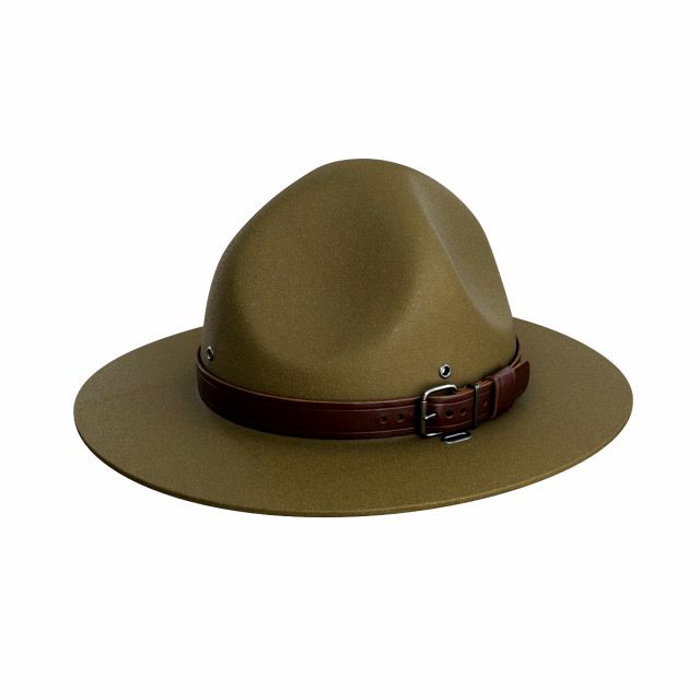 Scout campaign hat 3d model