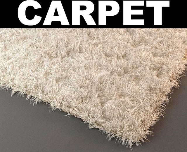Rug 3D Model