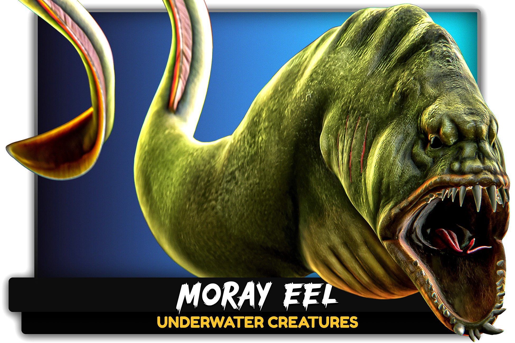 Fish low poly model / Moray Eel lowpoly fish / ocean horror / monster ...