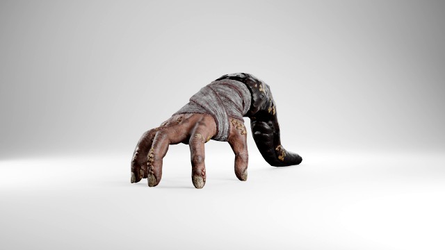 Hand Parasite 3d model