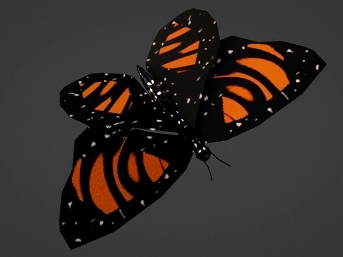 Butterfly animated and fully rigged 3d model