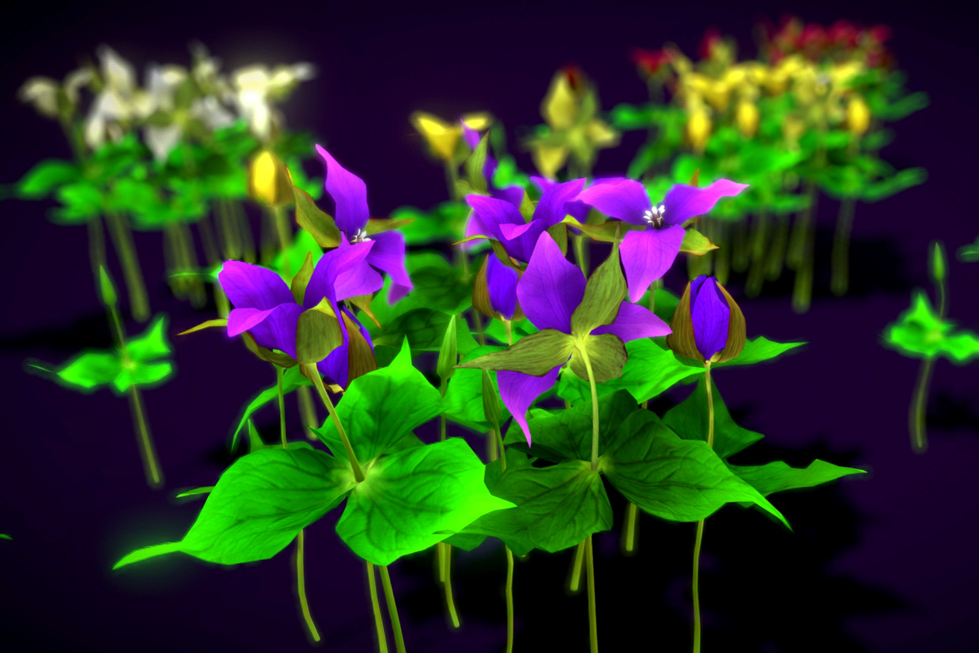 Flower Trillium Erectum 3d model