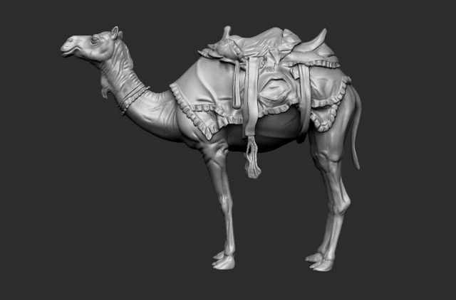 ARABIAN CAMEL 3d model