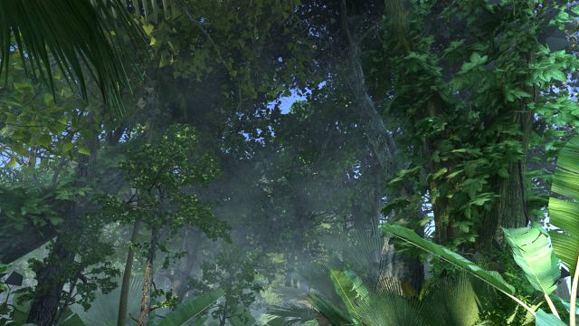 Rainforest 3d model