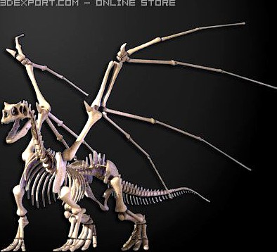 Dragon skeleton 3D Model