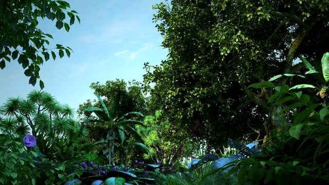 Rainforest 3d model