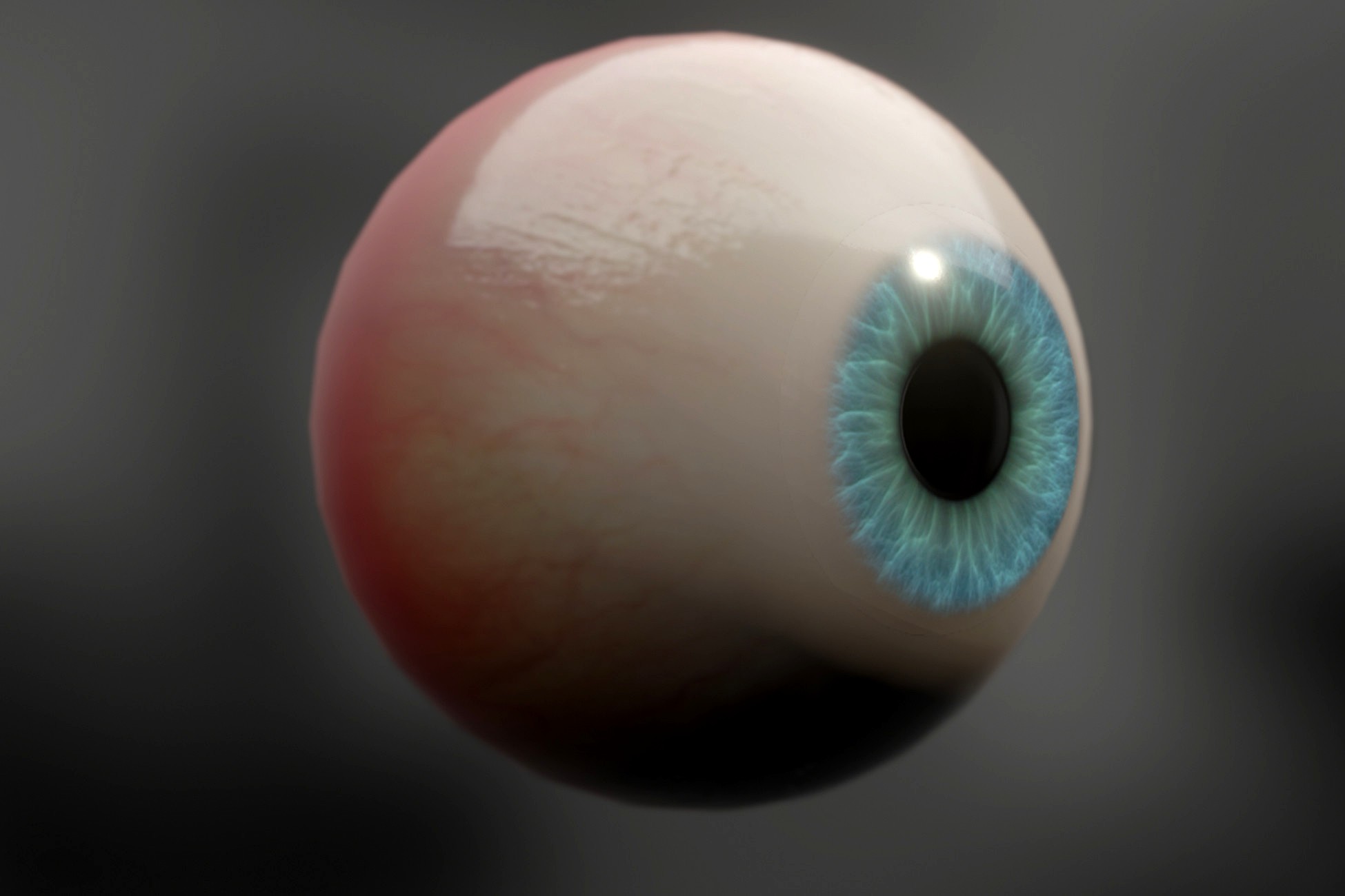 Realistic Human Eye 3d model
