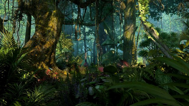 Rainforest 3d model