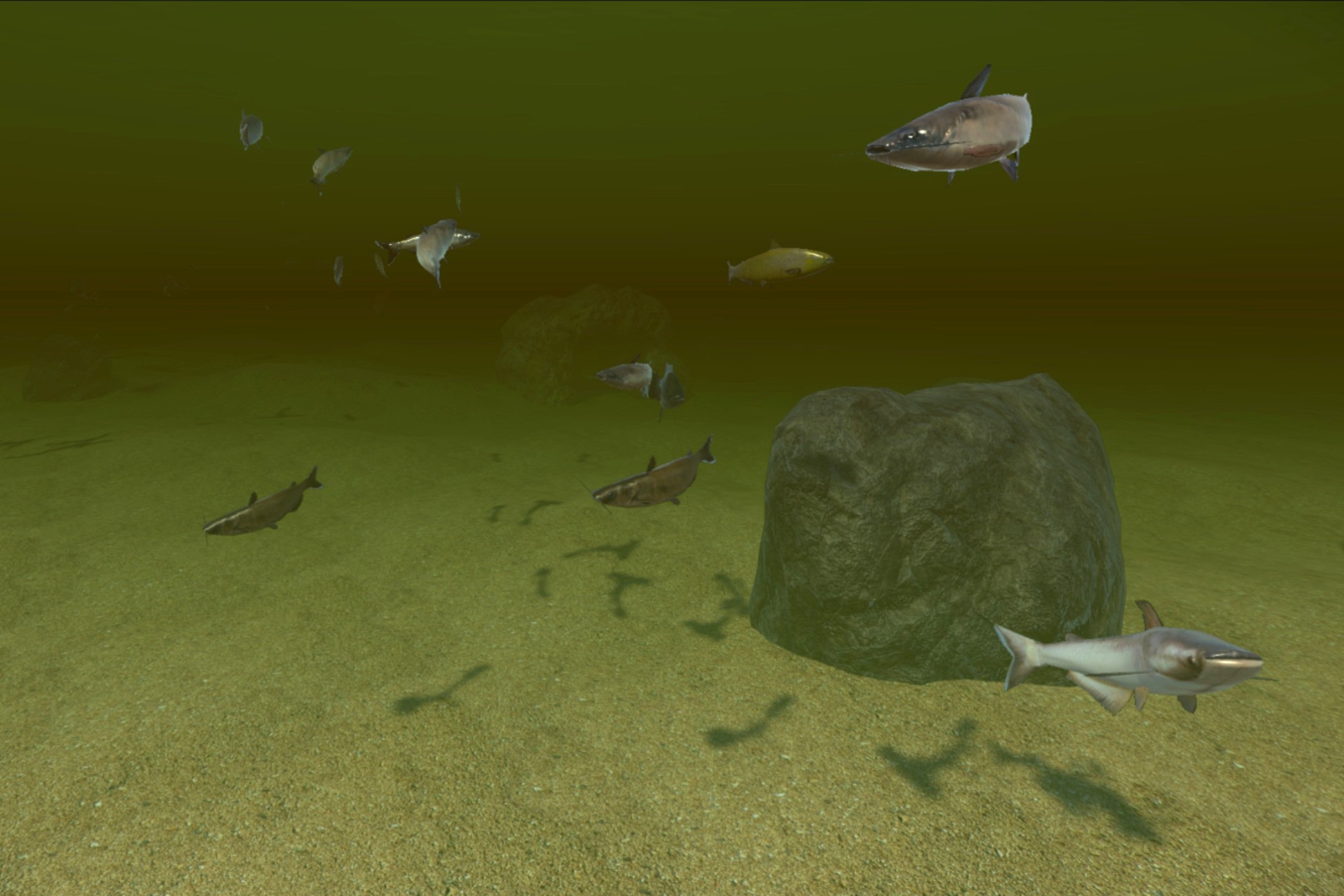 Freshwater fish complete pack URP 3d model
