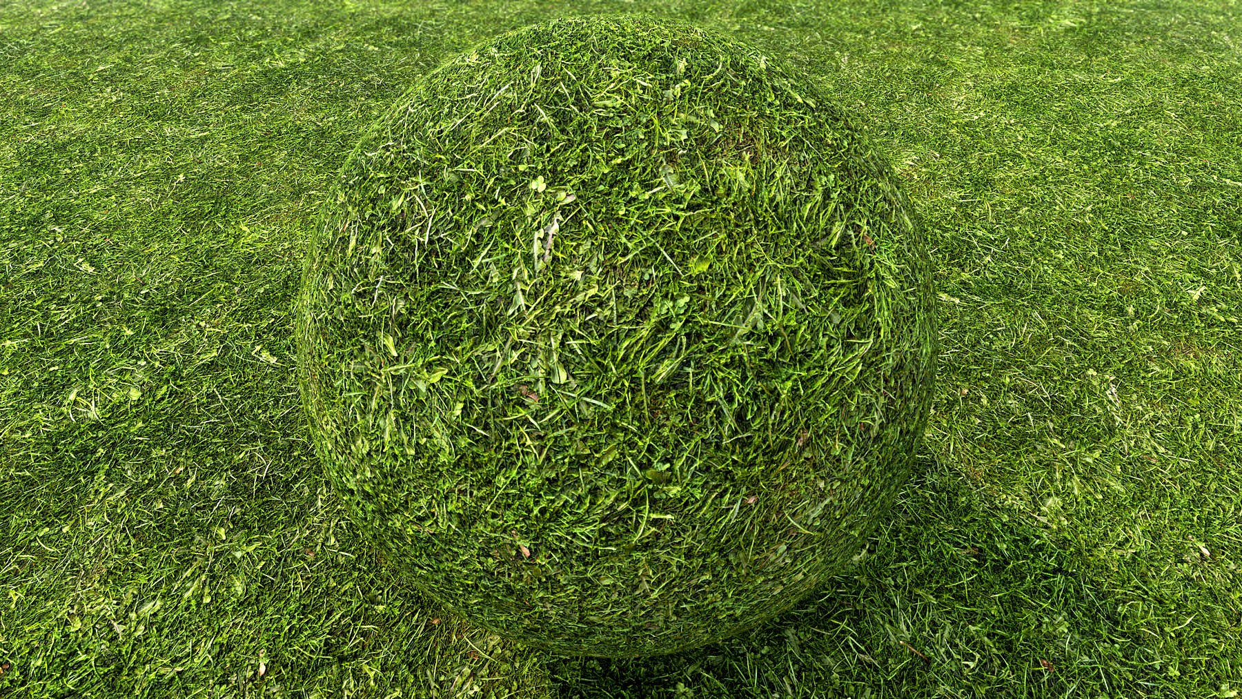 Grass (227) - Photogrammetry based Environment Texture 3d model