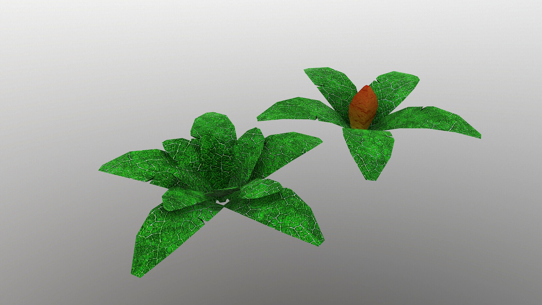 Low Poly Tropical Plant 3D Model