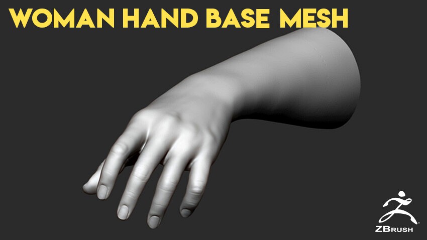 Woman Hand Base Mesh 3d model